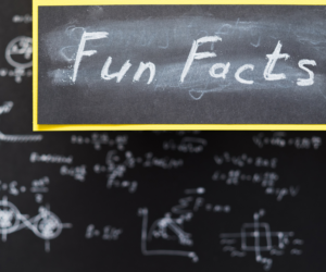 The Wonders of Human Feet: 7 Fascinating Facts You Didn’t Know – Khan ...